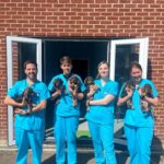 Home Visit Veterinary Care in Kent - Noah’s Ark Pet Clinic