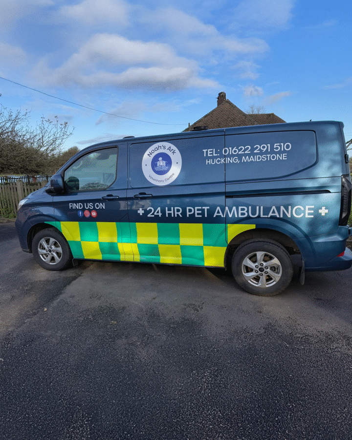 Home Visit Veterinary Care in Kent - Noah’s Ark Pet Clinic